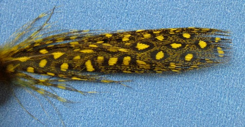 Large Guinea Fowl Feathers for Fly Tying