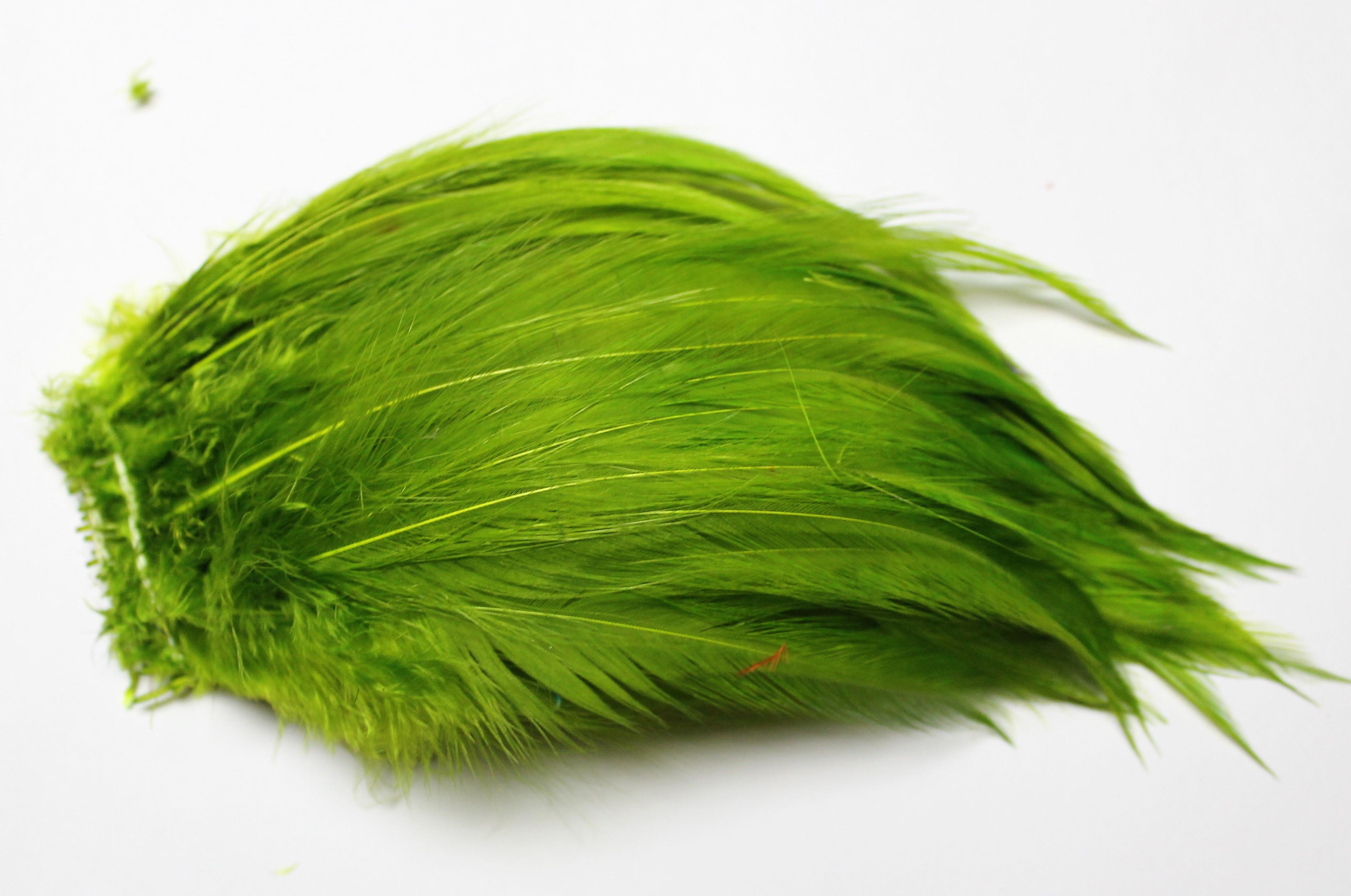 Extra Large Hackle for Fly Tying