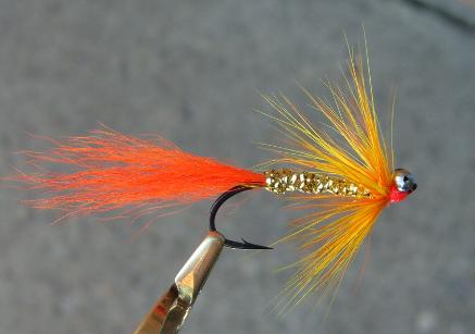 Gold Comet Salmon and Steelhead Fly